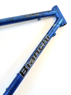 Bicycle Frames - Bianchi Frame - Nelo's Cycles