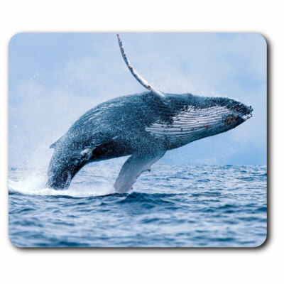 Computer Mouse Mat - Humpback Blue Whale Ocean Marine Office Gift ...