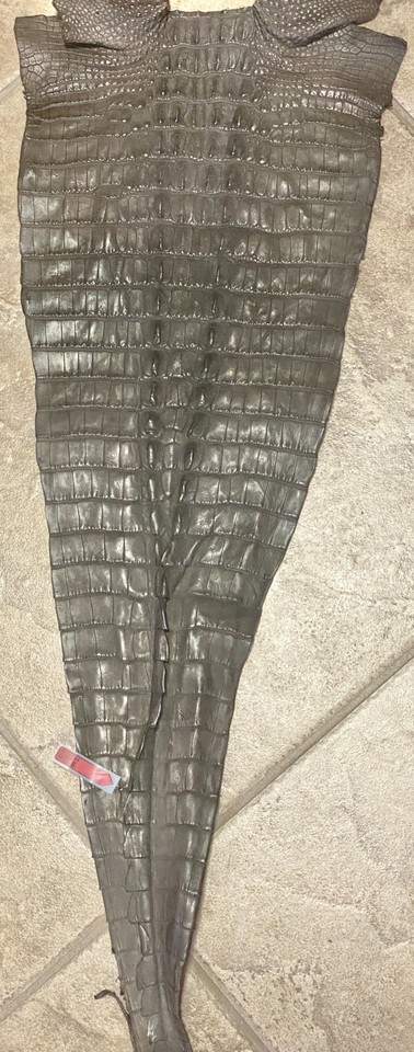 Genuine American Alligator Mink Hornback Tail Gator Hide Craft 0507-E2 ...