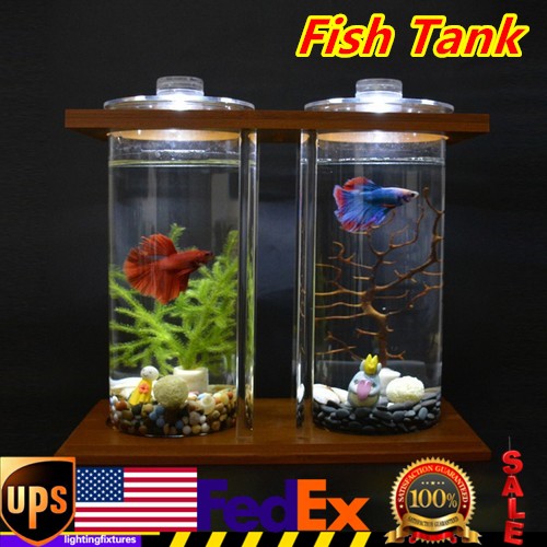 Dual Glass Desktop Fish Tank Home Office Betta Aquarium Set LED Light ...