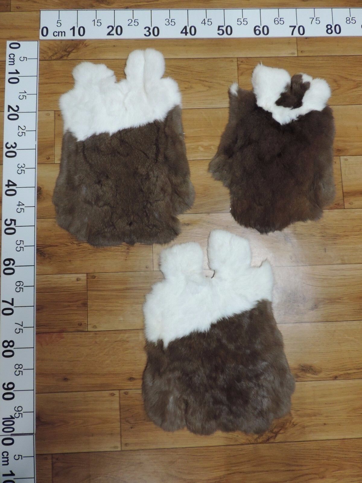 TOP XXL rabbit fur rabbit fur rabbit fur breed: Dutch Havana white | eBay