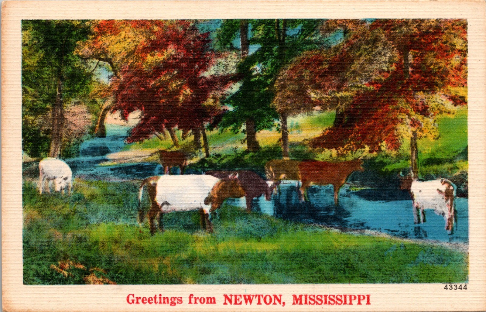 Postcard Greetings from Newton Mississippi Cows in Stream - Linen ...