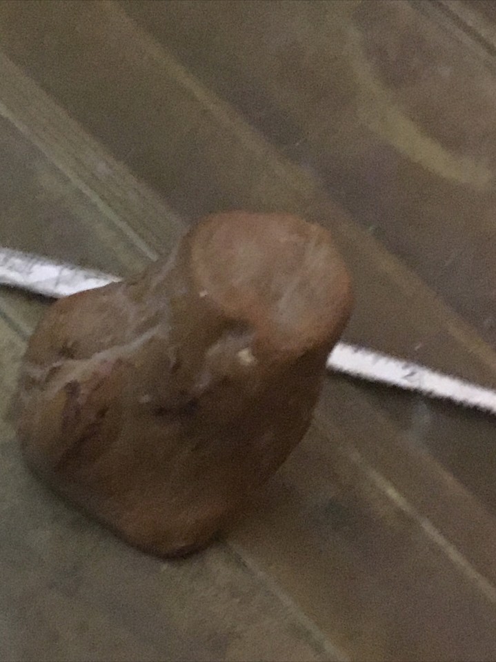 Native American Archaic Effigy Stone Animal Head Artifact | eBay