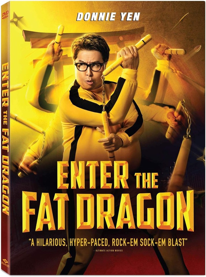 Enter the Fat Dragon (DVD) Donnie Yen Niki Chow Teresa Mo Jing Wong | eBay