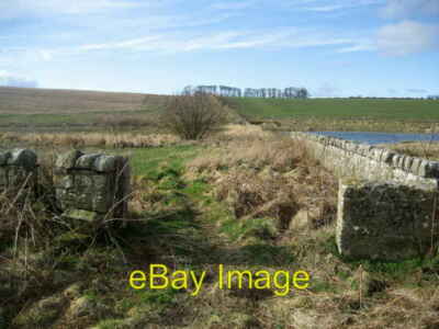 Photo 6x4 Bridleway to A.1068 High Buston Bridleway leaving the ...