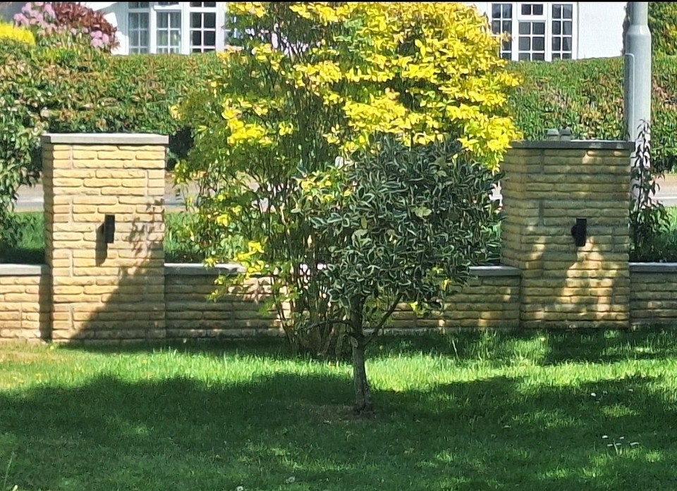 Concrete Walling Blocks In Cotswold Buff x 25 (DELIVERY EXCEPTIONS ...