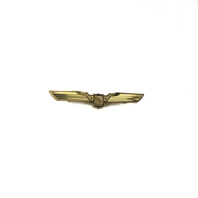 WINGS *United Airlines* metal Wing Pin Gold 89mm / 3.5 inches | eBay