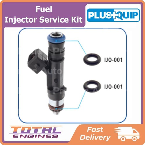 1x PlusQuip Fuel Injector Service Kit fits Citroen C2 1.6L 4Cyl TU5JP4 ...