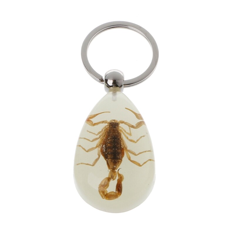 Luminous Amber Insect Keychain Black Scorpion Key Ring Glow in the Dark ...