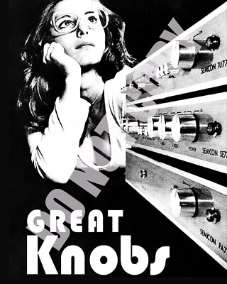 1970s Music Great Knobs Stereo Magazine Promo Pin-Up Sexy Ad 8x10 Photo ...