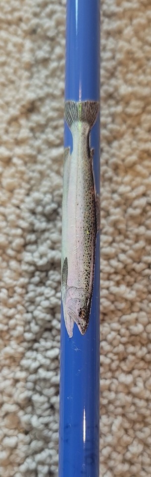 Custom Built Fly Rod 9' IM6 4wt, 4piece | eBay