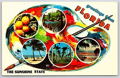 Greetings from Florida The Sunshine State Chrome Postcard Unused | eBay