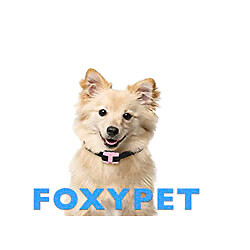 foxy pet Co | eBay Stores