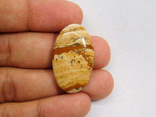 Top 100% Natural African Picture Jasper Cabochon Loose Gemstone 31 Cts ...