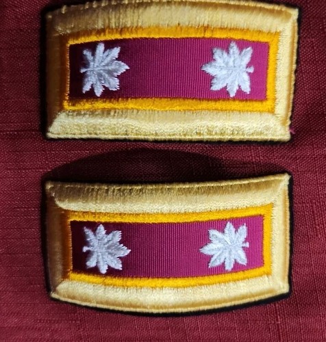 Pair US Army Female Lieutenant Colonel LTC Logistics Shoulder Boards | eBay
