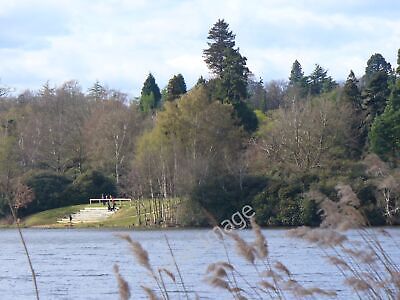 Photo 6x4 Botany Bay Point Shrubs Hill View across Virginia Water ...