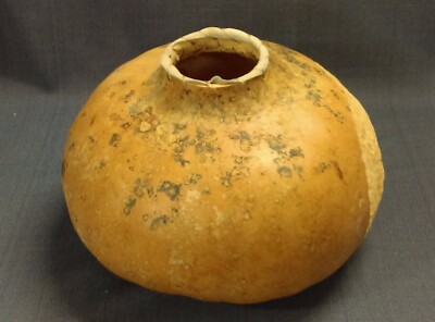 Vintage carved gourd made by Doose native American Cherokee Heritage | eBay