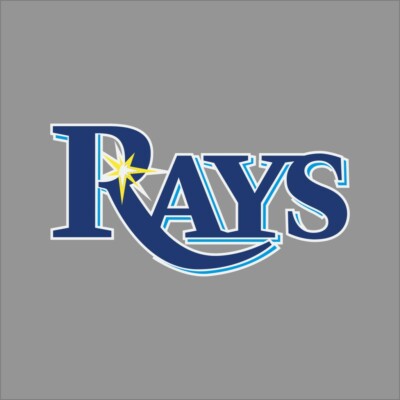 Tampa Bay Rays #2 MLB Team Pro Sports Vinyl Sticker Decal Car Window ...