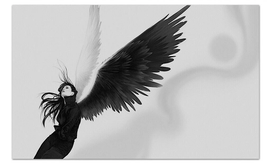 Fallen Angel Wings Drawings