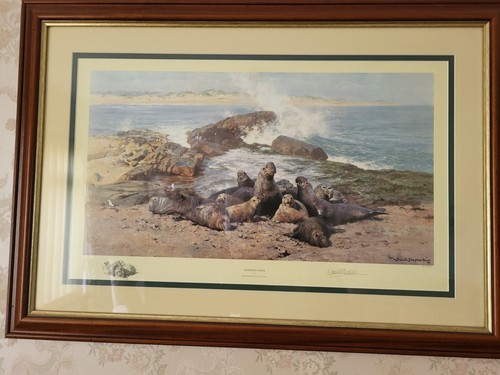David Shepherd Limited Edition Signed Framed print elephant seals | eBay UK