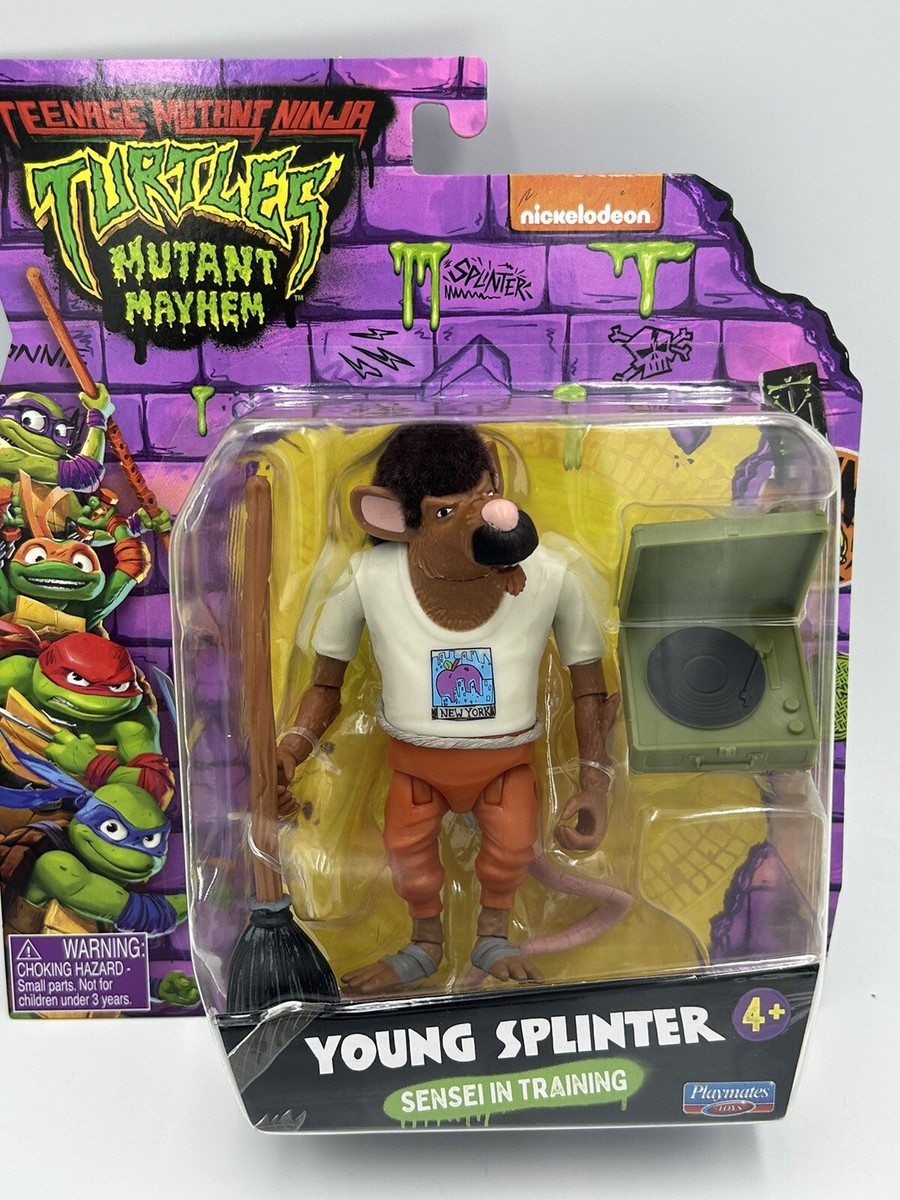 Teenage Mutant Ninja Turtles Ninja Practice