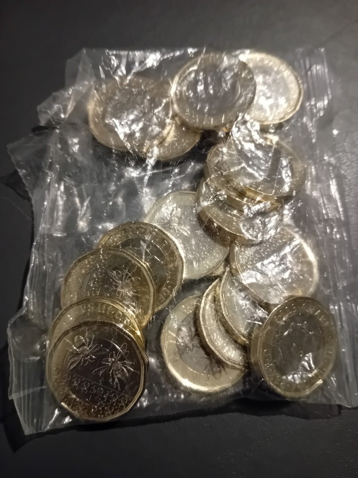 £1 Pound BEES Coin King Charles2023 UNCIRCULATED fromsealed bag ...