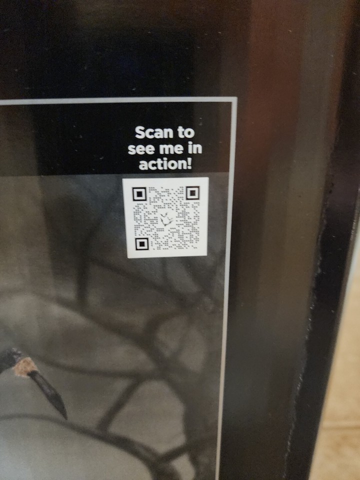 Spirit Halloween Wanda Webworth Spider 6' Animatronic Animated Prop ...