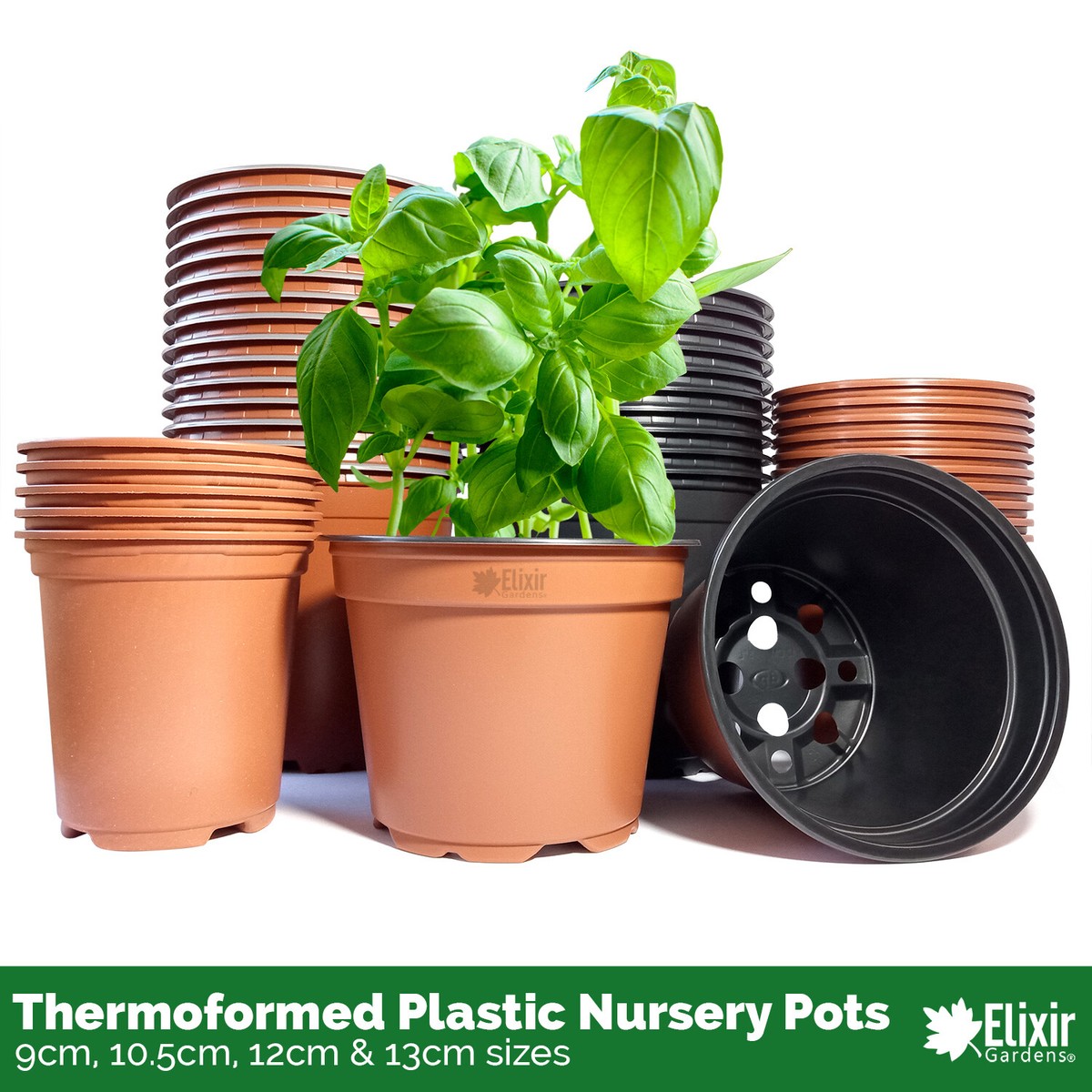 Plant Nursery Pot Sizes