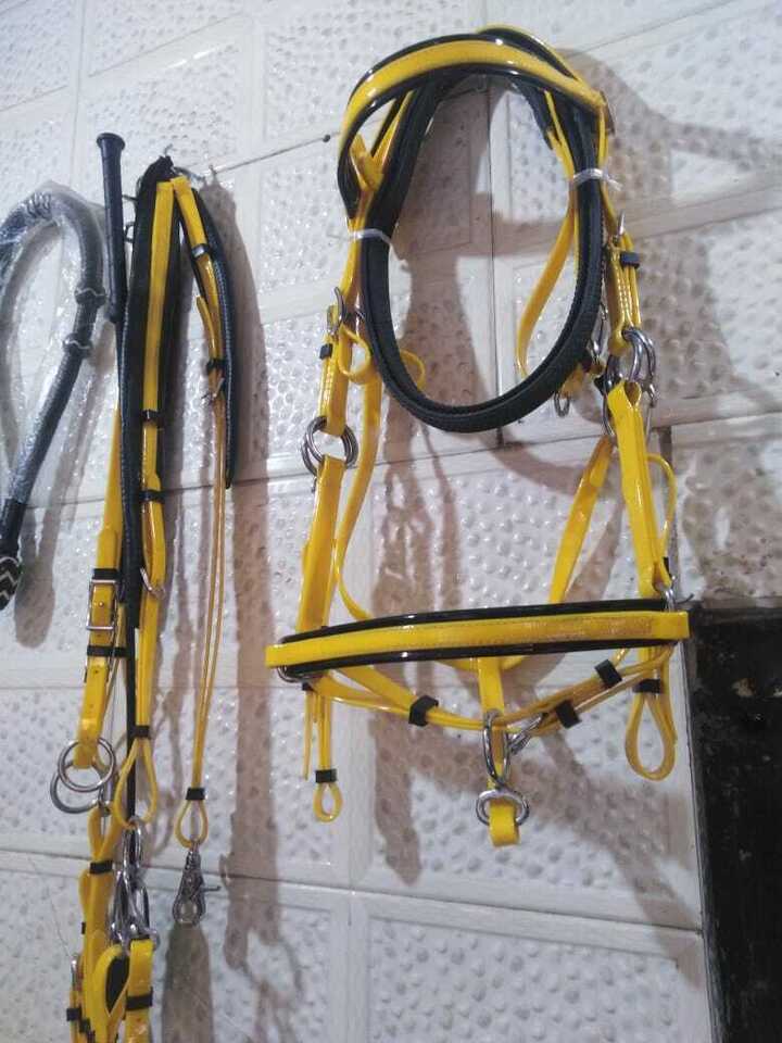 Endurance bridle With Reins And Breastplate - Yellow Full Genuine PVC ...