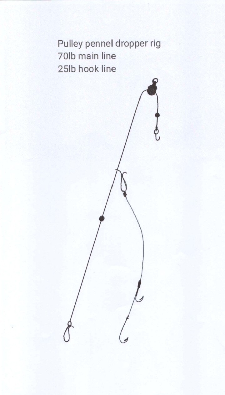 4 X Pennel dropper 5/0 circle hook | eBay