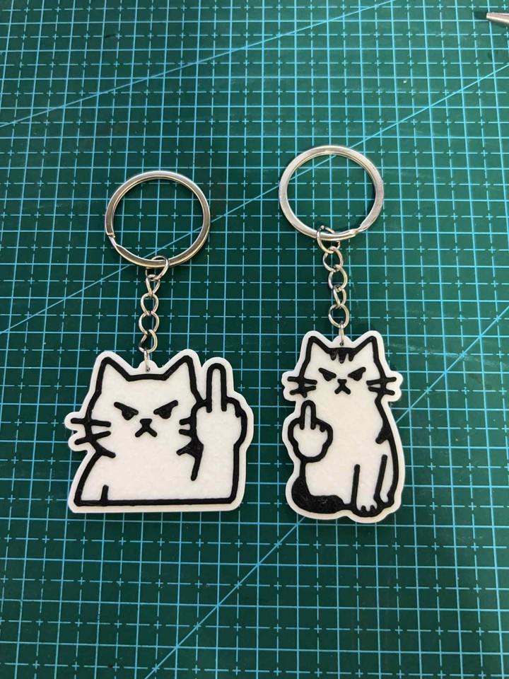 Cat Middle Finger Keychain 2pcs/pack | eBay Australia