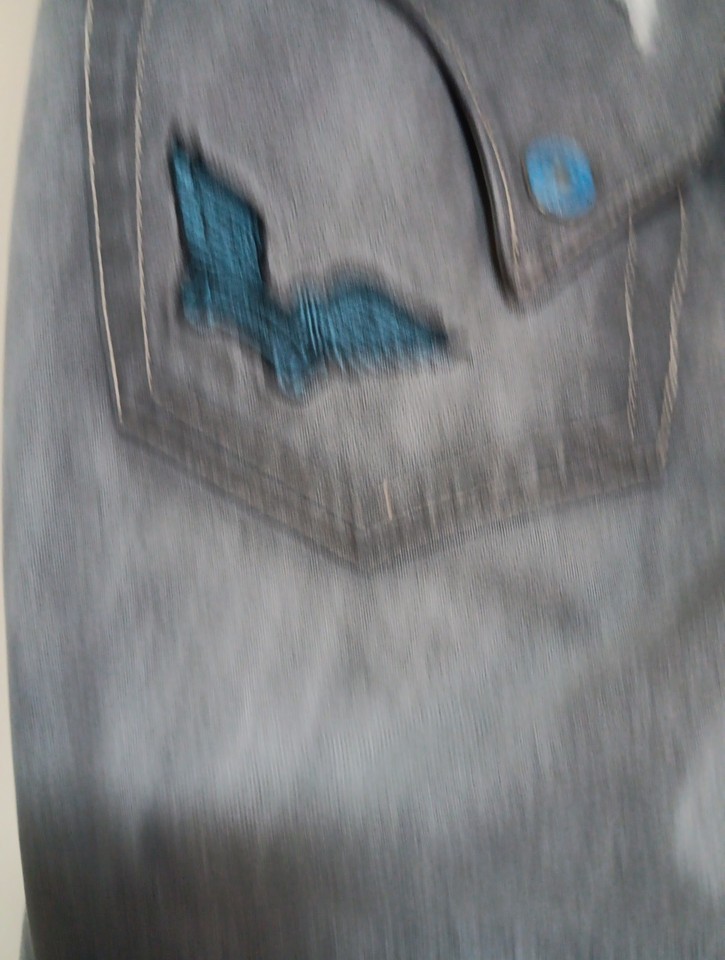 ROBIN'S JEAN Men's 40 #D5095 R Pocket Gray Embroidered Embellish USA ...