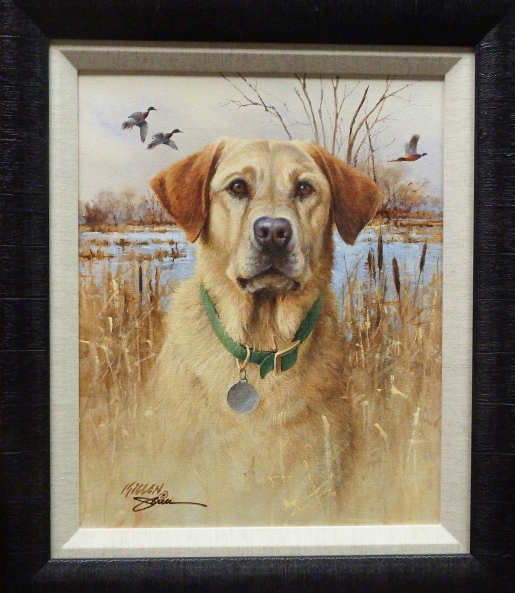Yellow Labrador Hunting Muskeecreek Retrievers