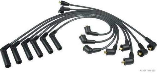 HERTH+BUSS JAKOPARTS J5385021 Zundleitungssatz MD976524 | eBay