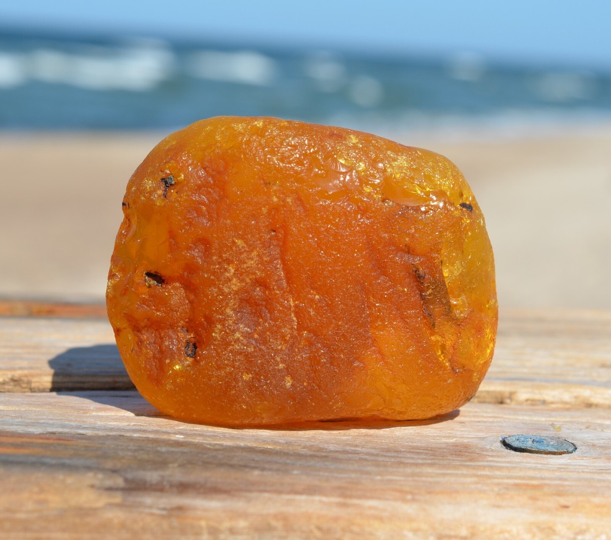 Baltic Sea Amber