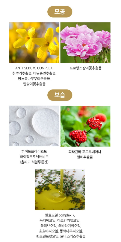 Chosungah Mega Fit Stick Foundation Master Set SPF50+ PA++++ Wrinkle ...