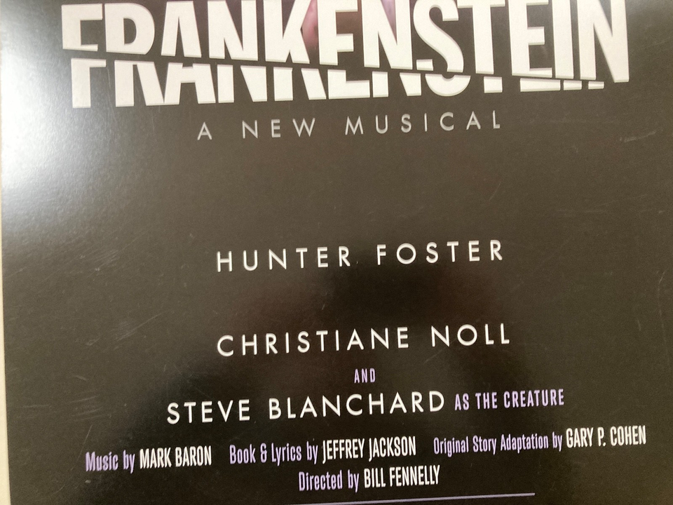 Broadway Poster - FLOP - Frankenstein Musical - Hunter Foster - 14x22 ...