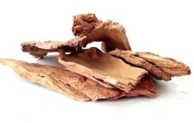 ARJUNA BARK TERMINALIA ARJUNA ARJUN TREE BARK - Whole Herb - Free ...