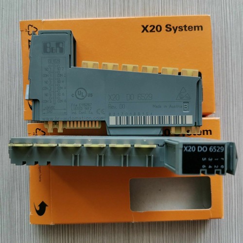 1PC New B&R X20DO6529 PLC Module X20 DO 6529 One Year Warranty # | eBay