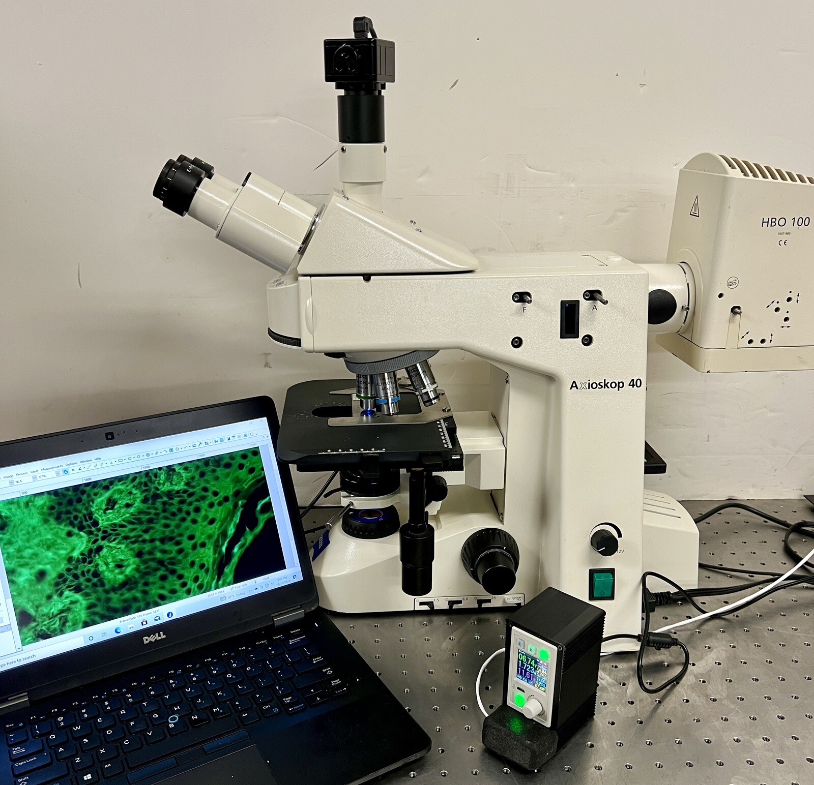 Zeiss Axioskop 40 FL Broadband LED Fluorescence Microscope + Cam | eBay