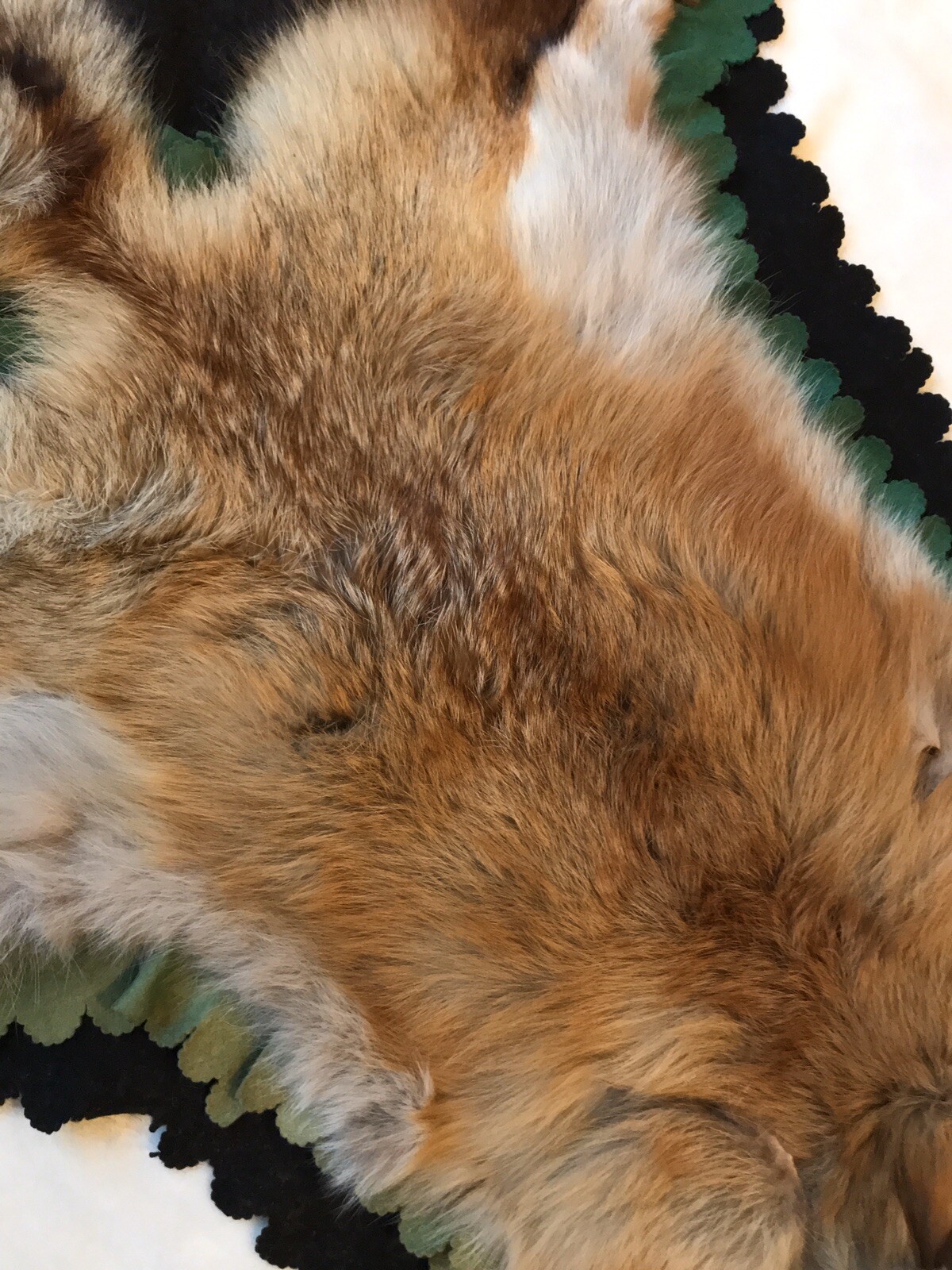 Vintage RED FOX TAXIDERMY RUG, MOUNT WITH HEAD - PELT, FUR, SKIN, HIDE ...