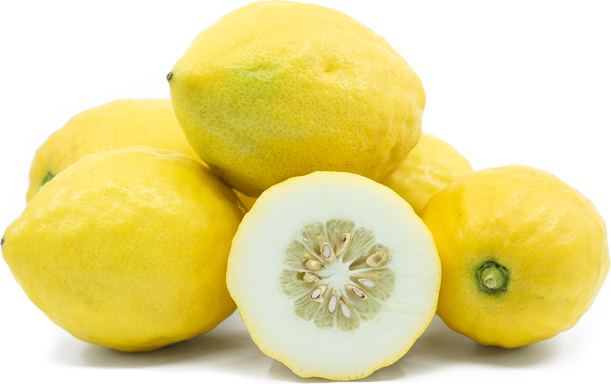 15 X ETROG CITRON SEEDS ESROG CITRUS HEALTHY FRAGRANT SUKKOT BIBLE ...