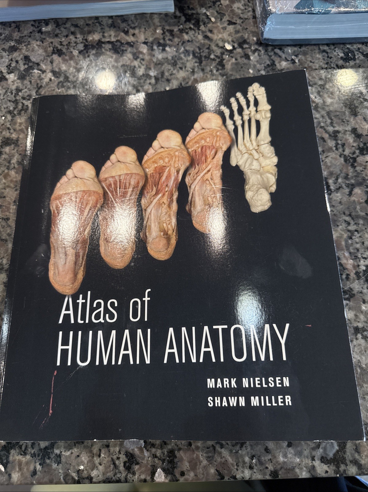 Atlas of Human Anatomy by Shawn D. Miller and Mark Nielsen ...