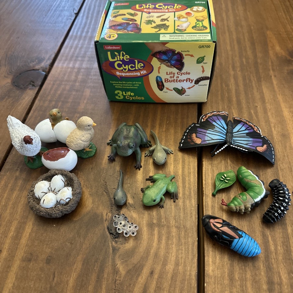 Life Cycle Sequencing Kit by Lakeshore chicken, frog, and butterfly ...