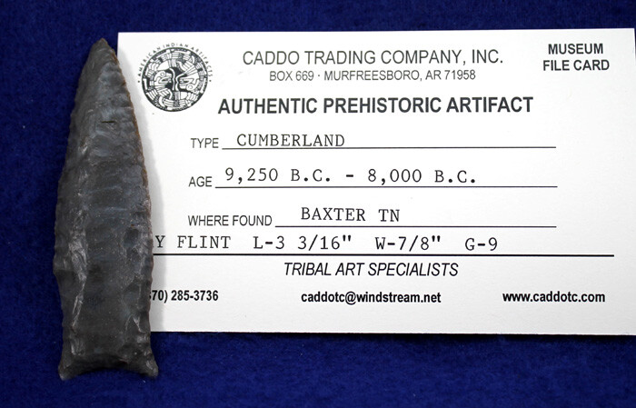 RARE Cumberland Point COA Authentic Prehistoric Arrowhead Native ...