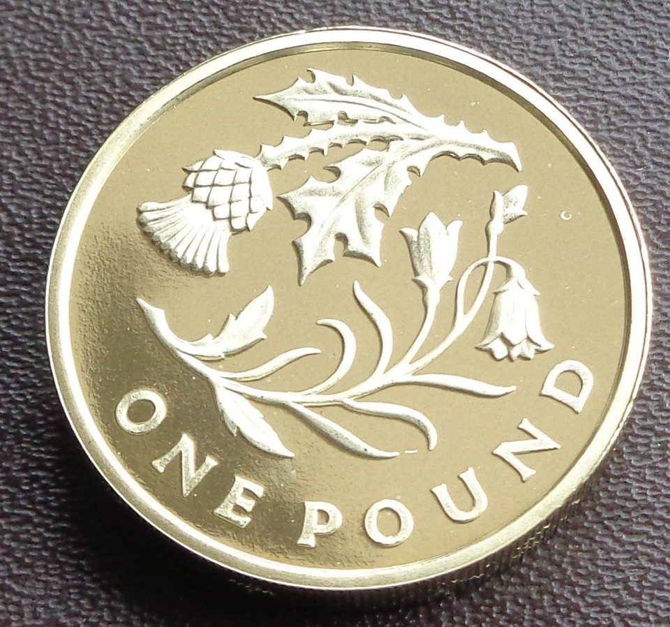 1983 - 2026 Elizabeth II £1 One Pound Coin Proof - Choose Your Year ...