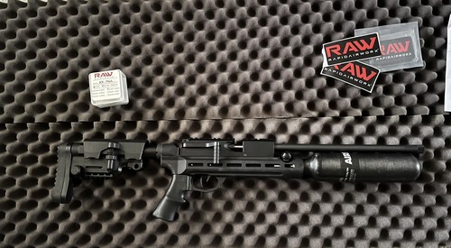 RAW HM 1000x Mini Hunter .25 Cal | eBay