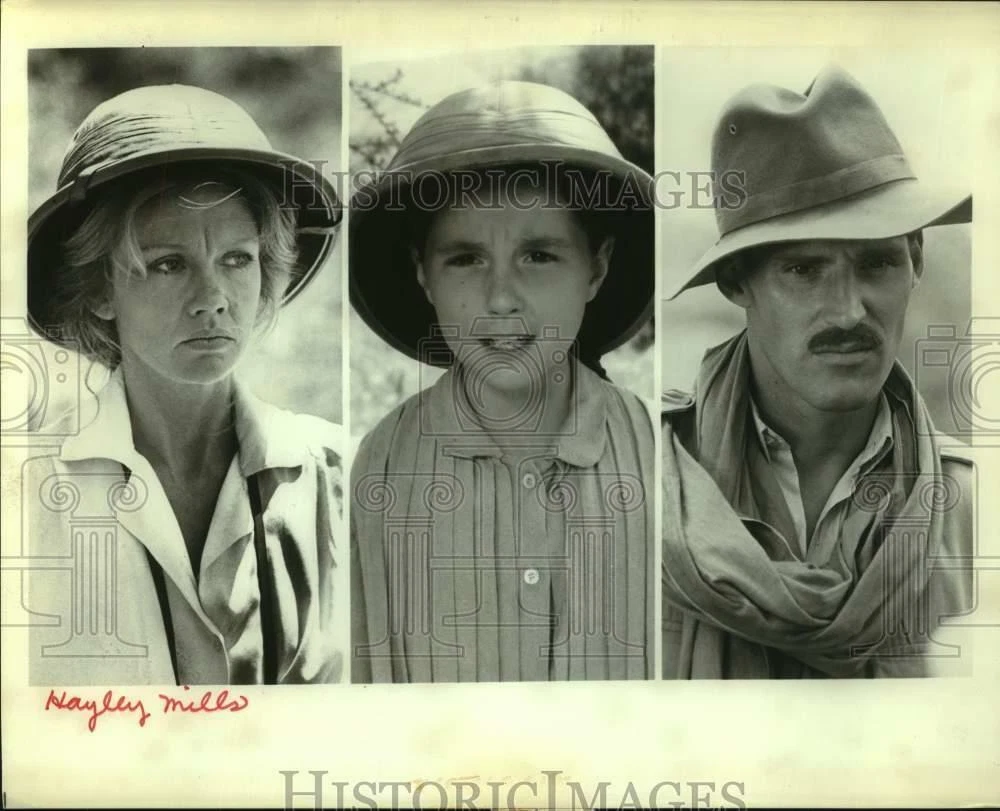 Holly Aird Flame Trees Of Thika