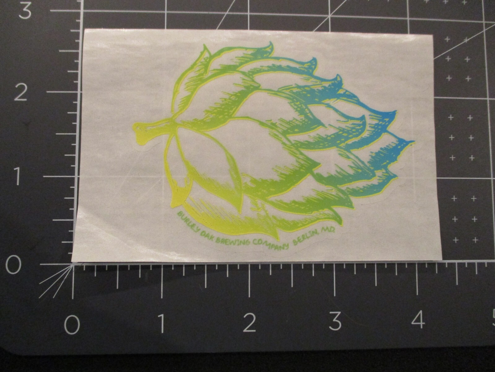 BURLEY OAK BREWING Maryland citralaxy lost hp STICKER decal craft beer ...