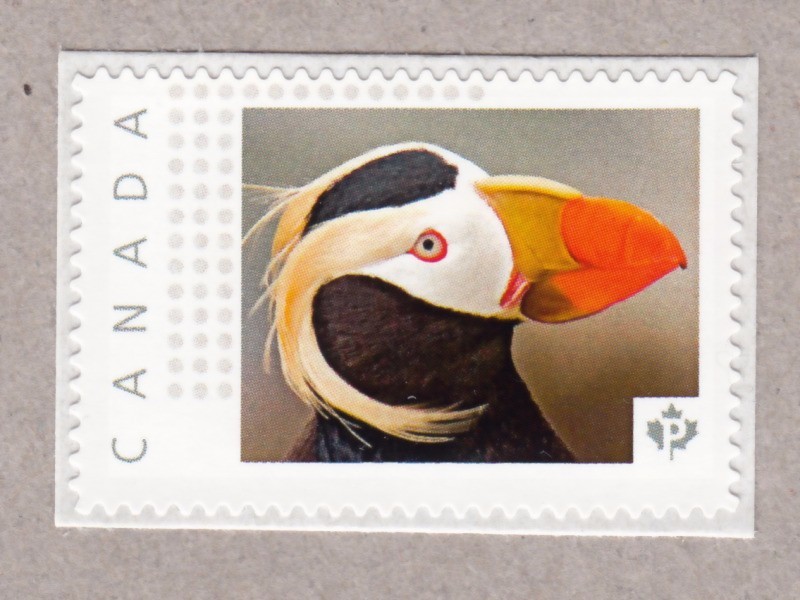 TUFTED PUFFIN =exotic bird Picture Postage stamp MNH Canada 2016 [p16 ...